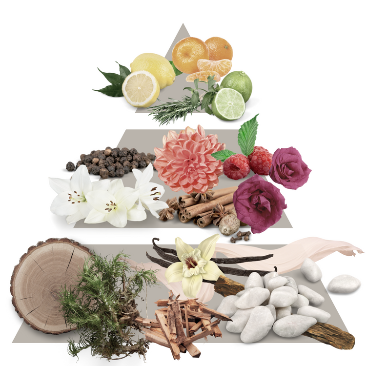 Pirâmide Olfativa – Amyi